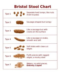 The Bristol Stool Form Scale | Complete Health Clinic